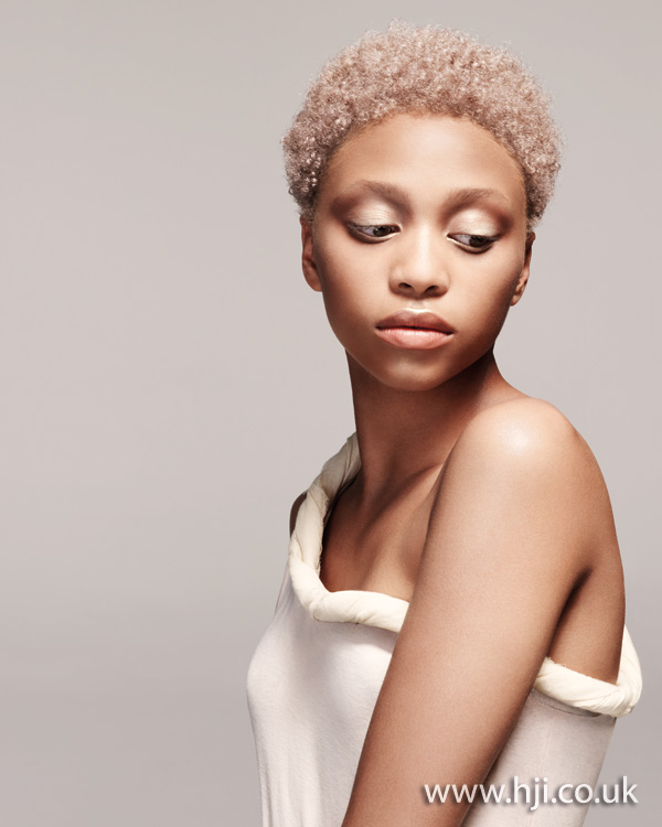 2011 afro soft hairstyle