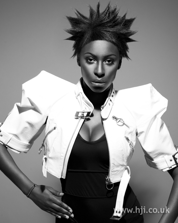 Sandra webb bha Afro1 hairstyle